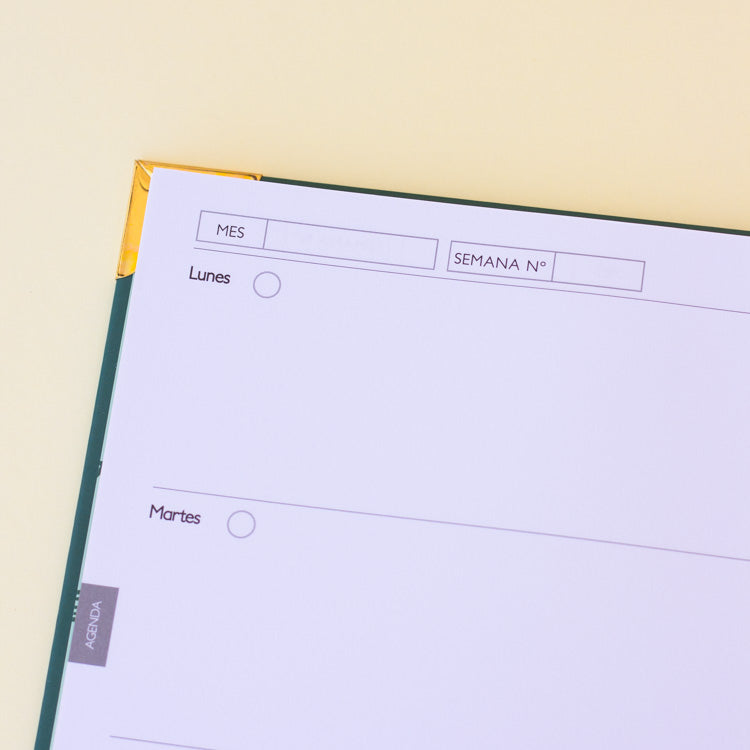 Cuaderno del Profesor con Agenda – Pedrita Parker