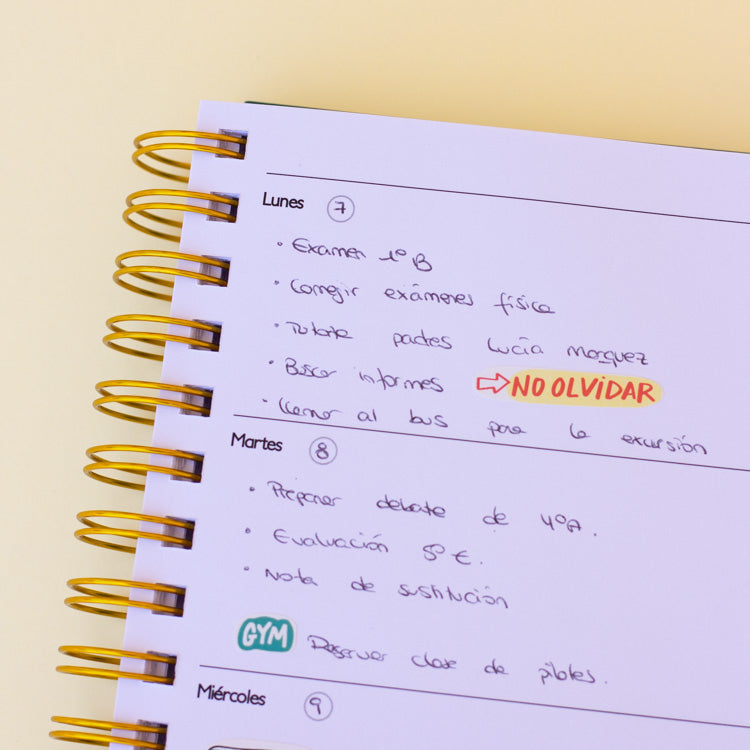 Cuaderno del Profesor con Agenda – Pedrita Parker